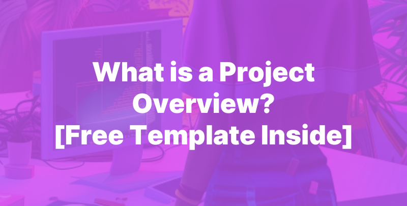 What is a Project Overview? [Free Template Inside]